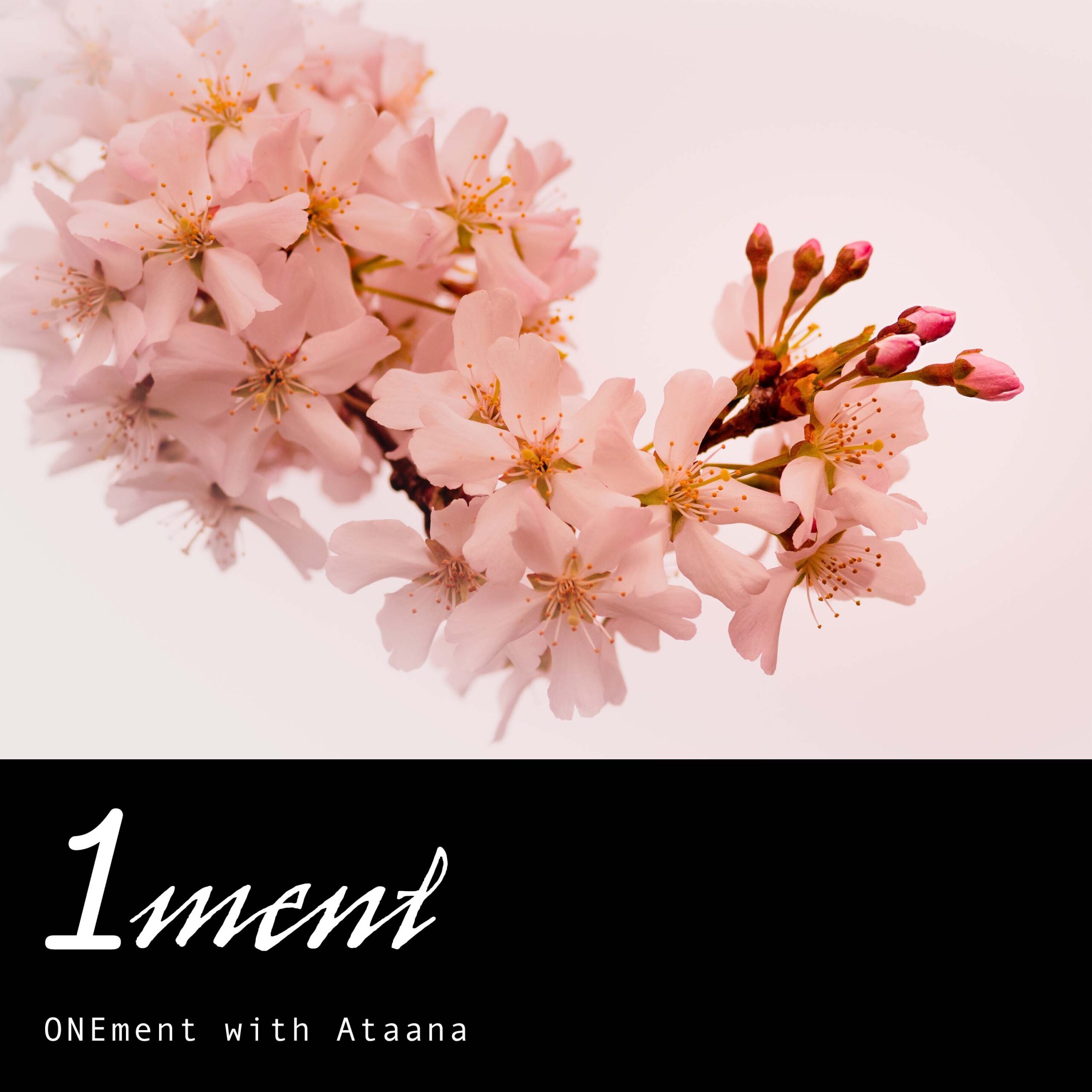 Meditation with Ataana | Ataana Healing Method